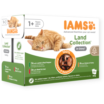 iams europe
